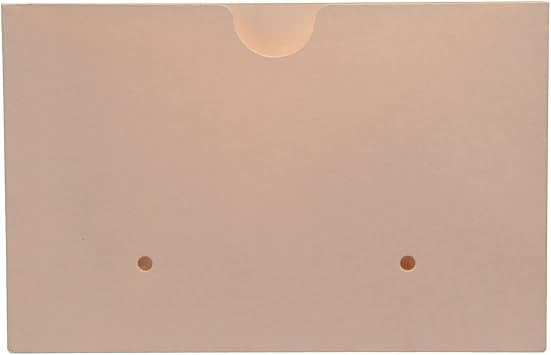 Amazon.com : Self Adhesive Manila Pockets, 9" x 6" (Box of 50) : Office ...