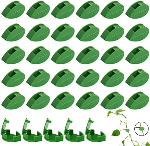 Plant Clips 30 Pcs Plant Wall Clips Plant Clips for Climbing Plants ...