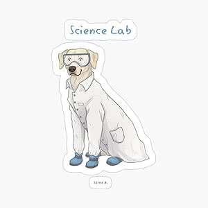 Amazon.com - Science Lab Sticker Vinyl Waterproof Sticker Decal for Car ...