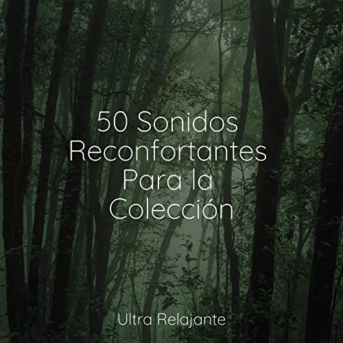 Amazon Music - Relajante Música de Piano Oasis, Relajante, Musica ...