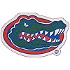 Amazon.com: University of Florida Patch UF Gators Embroidered Applique ...