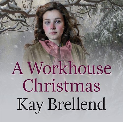 Buy A Workhouse Christmas Book Online at Low Prices in India | A ...