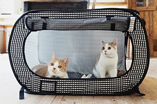 The 25 Best Cat Cages - Cat Life Daily