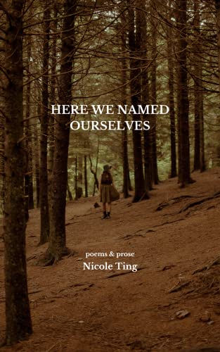 Amazon.com: Here We Named Ourselves eBook : Ting, Nicole: Books