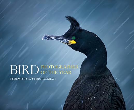 Bird Photographer of the Year : Bird Photographer of the Year: Amazon ...