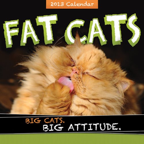 Fat Cats Calendar 2013: Big Cats. Big Attitude.: Sourcebooks ...
