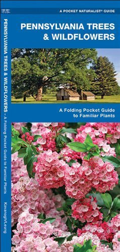 Pennsylvania Trees & Wildflowers: A Folding Pocket Guide to Familiar ...