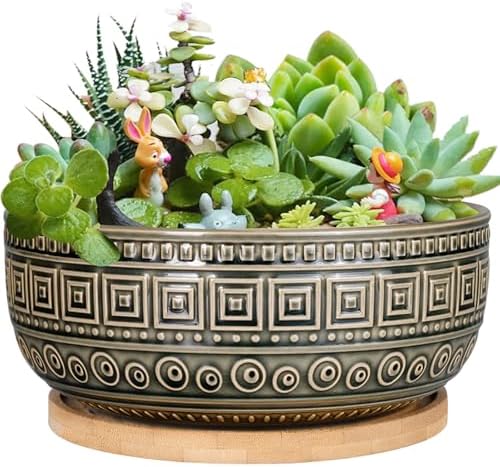 Amazon.com : G EPGardening 9 Inch Succulent Planter Flower Pot Indoor ...