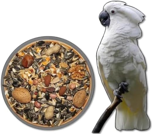 Buy Parrot Food 450Gm for Big Parrot,African Grey Parrot,Sun Conure ...