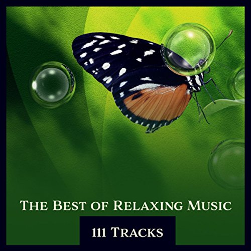 Riproduci The Best of Relaxing Music – 111 Tracks: New Age & Nature ...