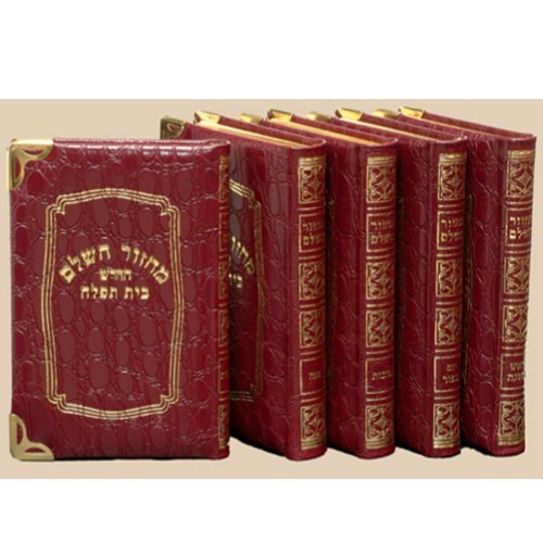 Amazon.com: Maroon Crocodile Leather Bais Tefillah 5 Set Machzorim With ...