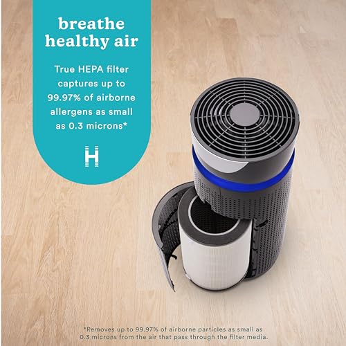HoMedics TotalClean 3-in-1 True HEPA Filter Replacement for Air ...