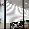 Amazon.com: FAFOUR One-Way Imitation Blinds Privacy Window Cover, Non ...