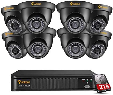 Anlapus 8CH 4K H.265+ DVR Video Überwachungssystem mit 2TB Festplatte ...