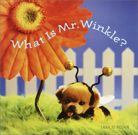 What Is Mr. Winkle?: Amazon.co.uk: Regan, Lara Jo: Books