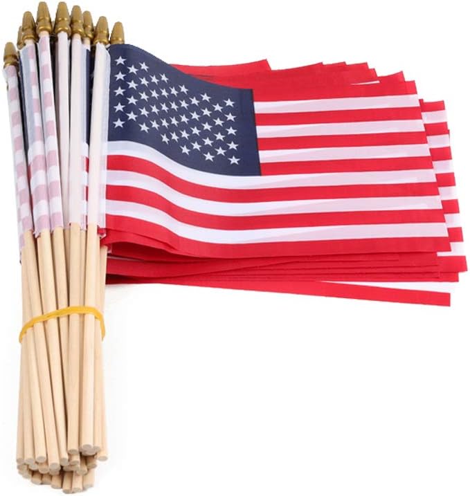 Amazon.com : NALELI Small American Flags 5x8 Inch, 25 pcs, small US ...