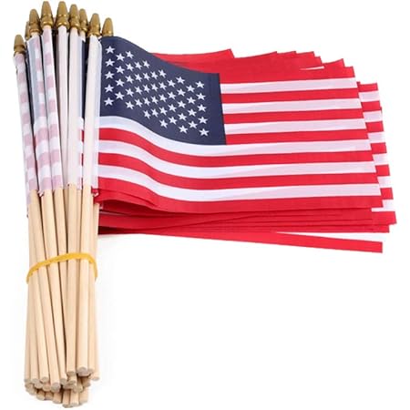 Amazon.com: 50 Pack Small American Flags on Stick 5x8 Inch/Mini ...