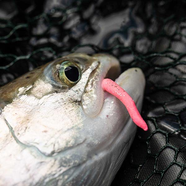 Fjuka Lurebait (4-pack) | Next Generation Floating Trout Bait | Shape ...