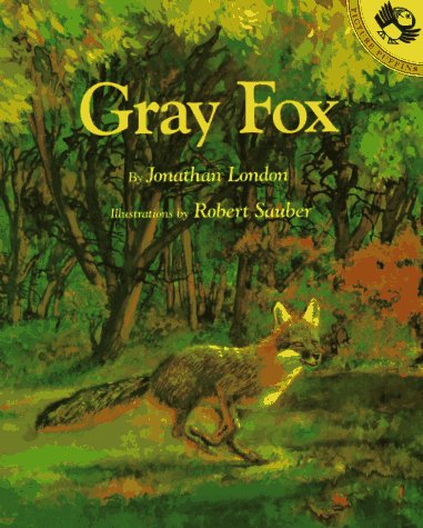 Gray Fox (Picture Puffins): London, Jonathan: 9780140554823: Amazon.com ...