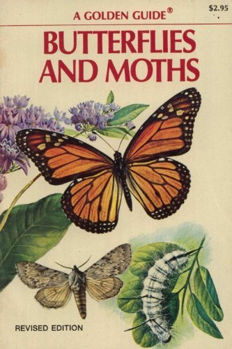 Butterflies and Moths (A Golden Guide): Robert T. Mitchell, Herbert S ...