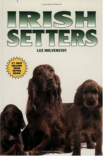 Irish Setters (Akc Rank, No57): Holvenstot, Luz: 9780793823666: Amazon ...