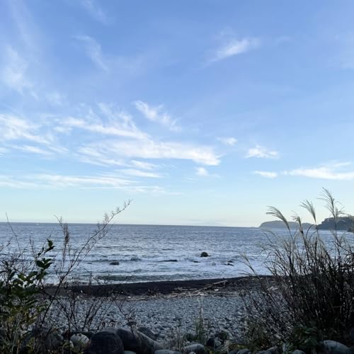 Amazon Musicでparrrのフレンドリーを再生する