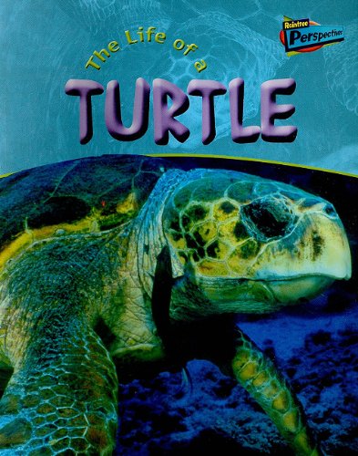 The Life of a Turtle (Life Cycles): Hibbert, Clare: 9781410908216 ...