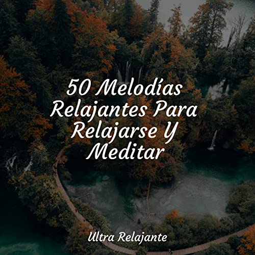 50 Melodías Relajantes Para Relajarse Y Meditar von Zona Música ...