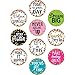 Amazon.com: Confetti Positive Sayings Accents (8890) : Office Products