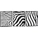 Amazon.com: Black Zebra Square Wall Sticker Vinyl Decal Kids Room 3-8 ...