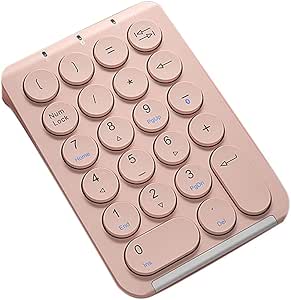 Aribrnten Wireless Number Pad Bluetooth Numeric Keypad Round Keycaps Numpad 22 Keys Rechargeable ...