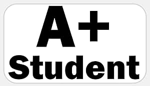 Amazon.com : A+ Student 500 Pcs Stickers Pack 2.25 x 1.25 in Teacher ...