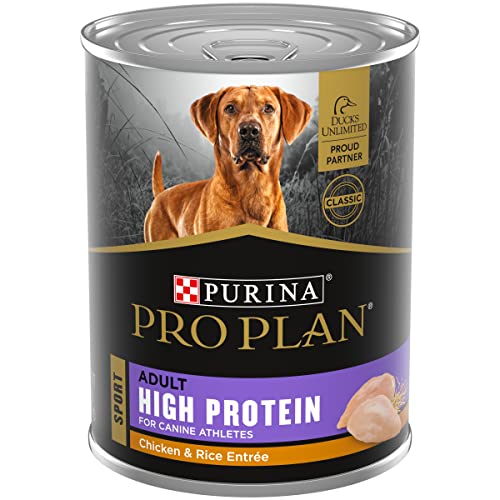 10 Best Pro Plan Adult Dog Foods: A Comprehensive Buying Guide for Pet ...