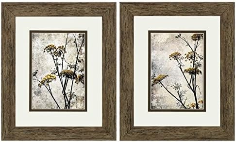Amazon.com: Propac Images "Big Sur Yarrow Framed Artwork : Home & Kitchen