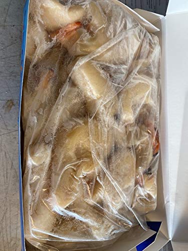 Amazon.com: Today Gourmet Foods of NC- Conch Meat Cleaned 5Lbs ...