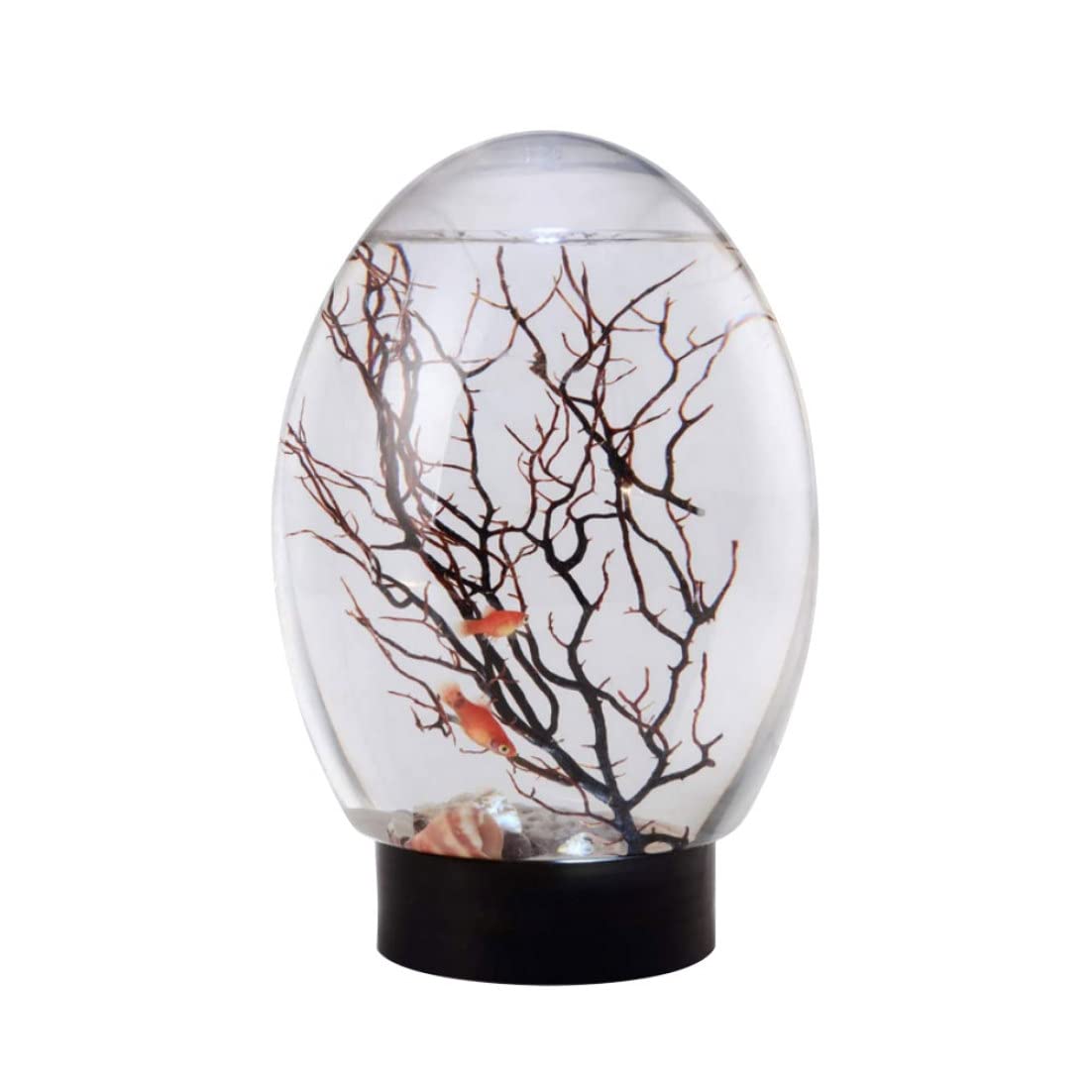 Buy Mini Aquarium Fish Tank Ecosphere Closed Aquatic Ecosystem with LED ...