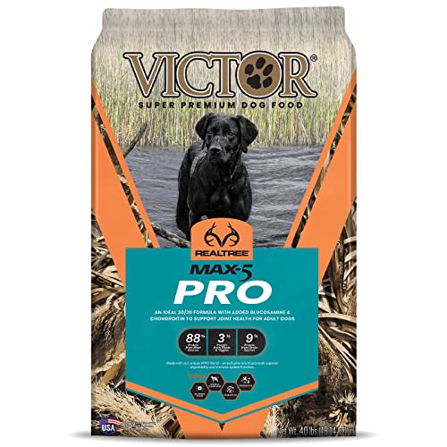 Fuel Your Team's Success with Top 10 Dog Food Products - Reviews and ...