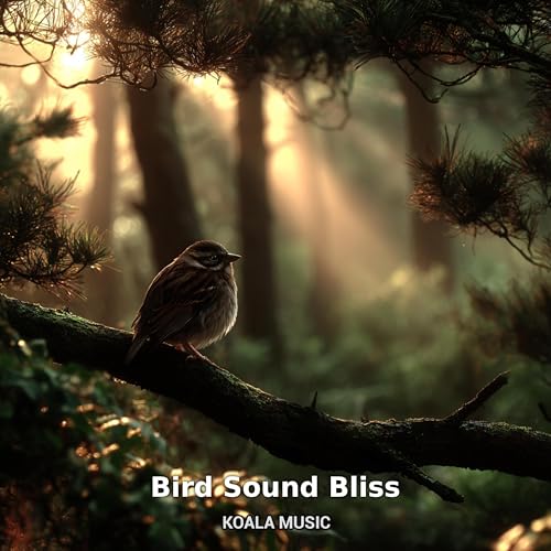 Blissful Bird Soundscape for Peace and Relaxation, Pt.27 song by Bird ...