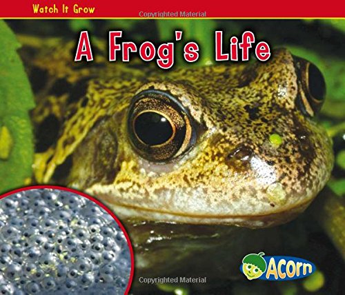 Amazon.com: A Frog's Life (Acorn: Watch It Grow): 9781432941499 ...
