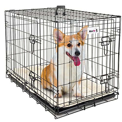Cage en métal pour chien ? Laquelle est la meilleure de toutes