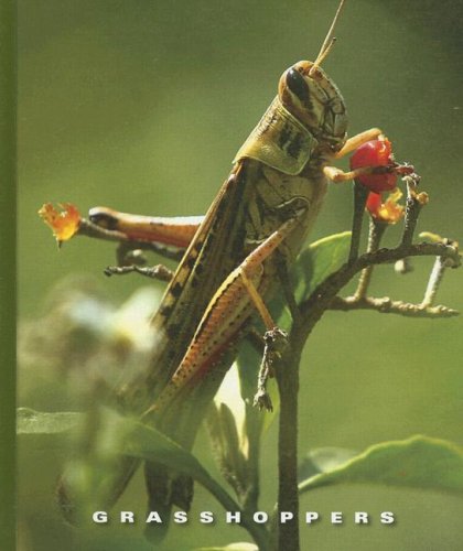 Grasshoppers (The World of Insects): Lockwood, Sophie: 9781592968237 ...