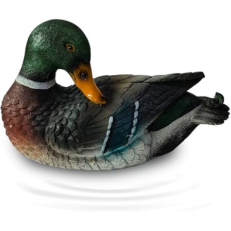 Amazon.com : PondH2o Floating Mallard Duck Pair Pond Décor Contains One ...