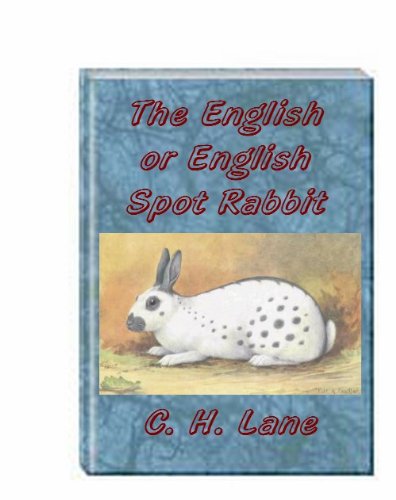 The English Rabbit - Kindle edition by C.H. Lane. Professional ...
