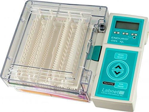 Labnet Enduro Gel XL with standard casting set (E0168), gel tank with ...