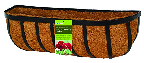 Forge 24"" Wall Trough : Amazon.in: Garden & Outdoors