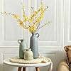 Amazon.com: Ceramic Vase Set of 3 | Neutral Vase Home Decor with Handle ...
