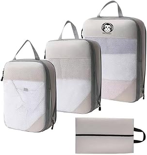 Uncovering The Unique Ways Monkeys Navigate Their Surroundings | PetShun