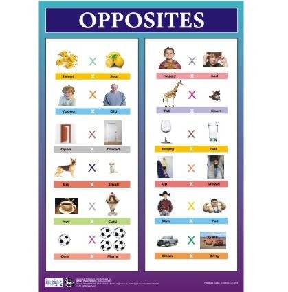 Buy Opposites Chart for kids Book Online at Low Prices in India ...