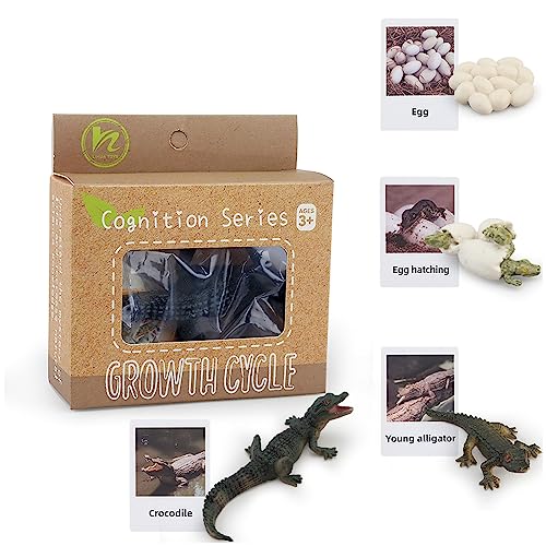 Montessori Life Cycle Animal Figurines Learning & Education - Want It All