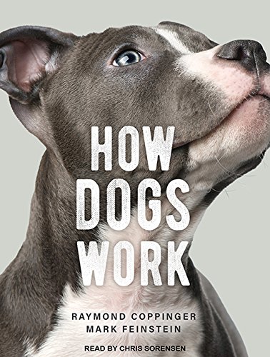 Buy How Dogs Work Book Online at Low Prices in India | How Dogs Work ...